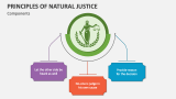 Principles of Natural Justice PowerPoint and Google Slides Template ...