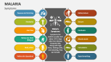 Malaria PowerPoint and Google Slides Template - PPT Slides
