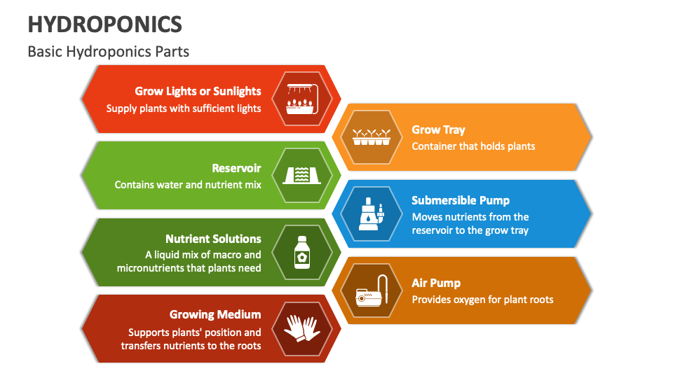 Hydroponics PowerPoint and Google Slides Template - PPT Slides