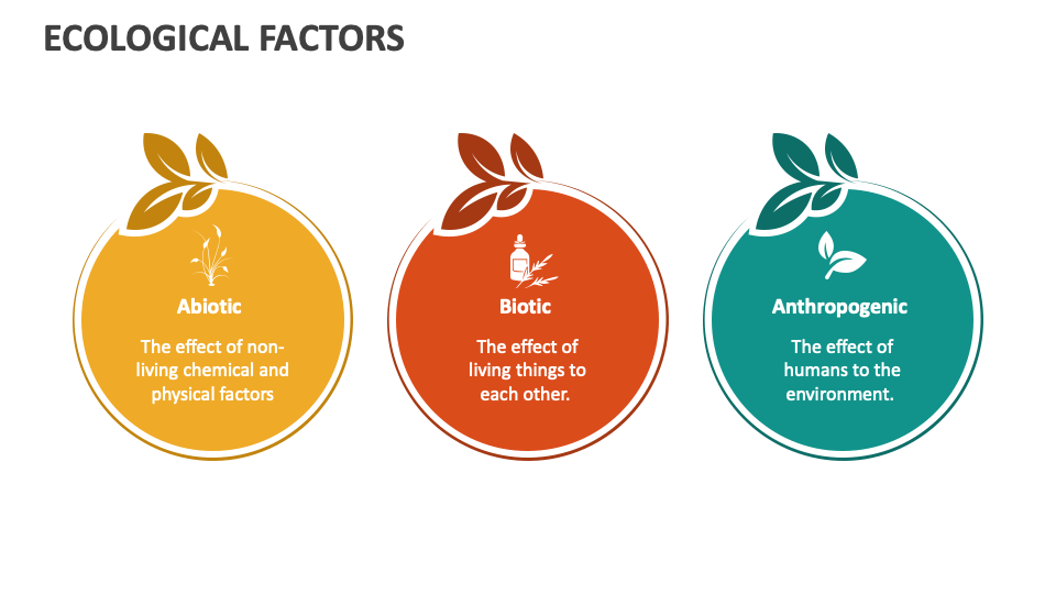Ecological Factors PowerPoint and Google Slides Template - PPT Slides