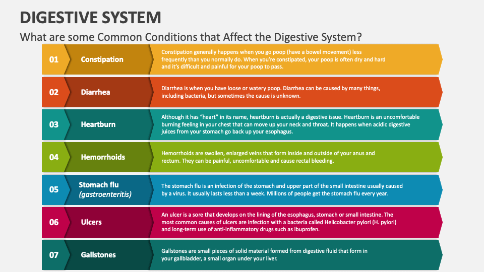 Digestive System PowerPoint and Google Slides Template - PPT Slides