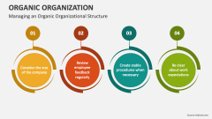 Organic Organization PowerPoint and Google Slides Template - PPT Slides