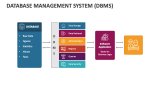 Database Management System (DBMS) PowerPoint and Google Slides Template ...