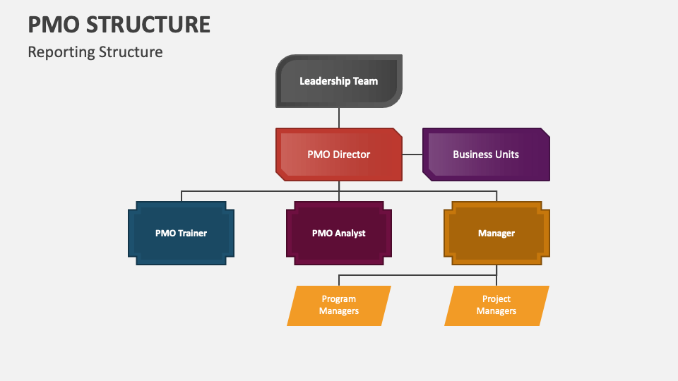 PMO Structure PowerPoint Presentation Slides - PPT Template PMO Structure PowerPoint Presentation Slides - PPT Template