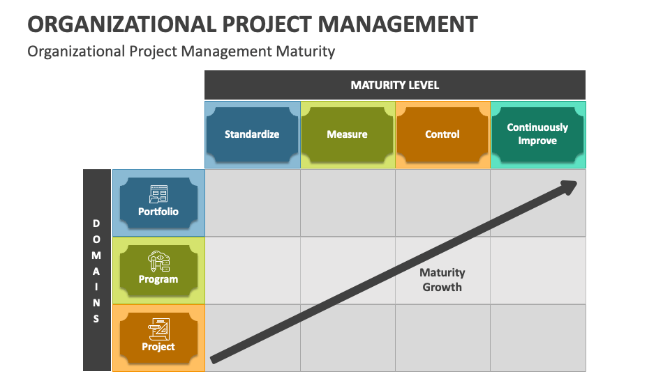 Organizational Project Management PowerPoint Presentation Slides - PPT ...