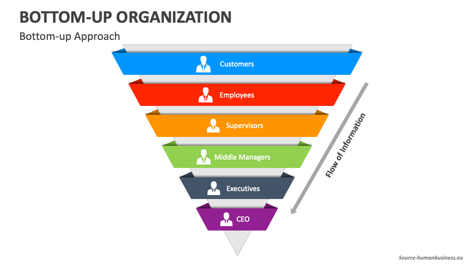 Bottom-Up Organization PowerPoint and Google Slides Template - PPT Slides