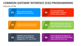 Common Gateway Interface (CGI) Programming PowerPoint and Google Slides Template - PPT Slides