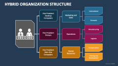 Hybrid Organization Structure PowerPoint Presentation Slides - PPT Template