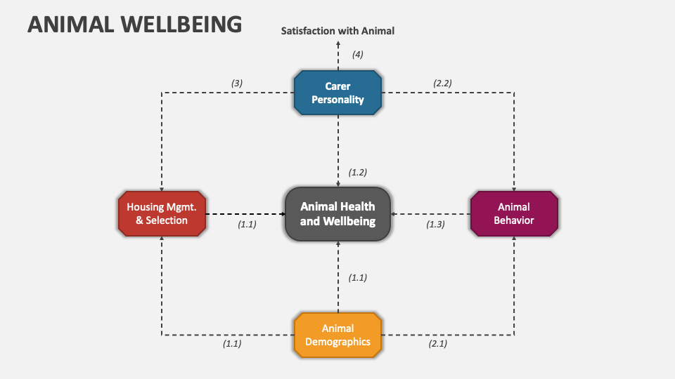Animal Wellbeing PowerPoint and Google Slides Template - PPT Slides