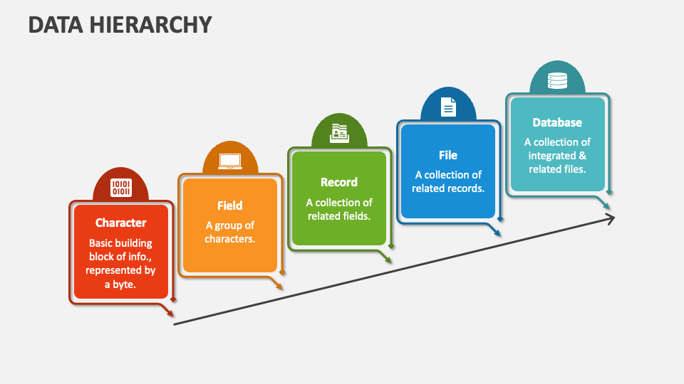 Data Hierarchy PowerPoint and Google Slides Template - PPT Slides Data Hierarchy PowerPoint and Google Slides Template - PPT Slides