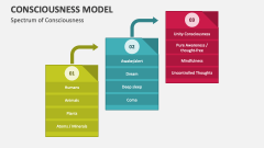 Consciousness Model PowerPoint and Google Slides Template - PPT Slides