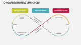 Organizational Life Cycle PowerPoint Presentation Slides - PPT Template
