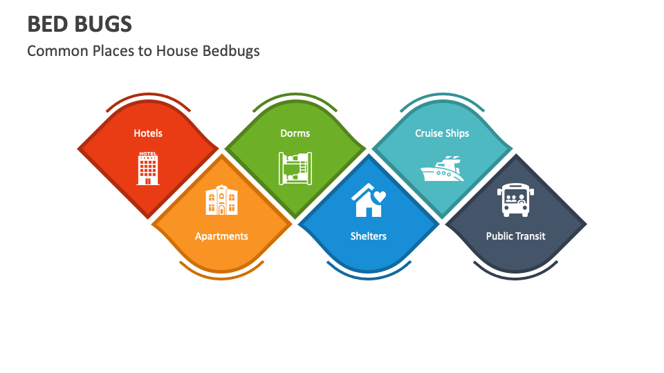 Bed Bugs PowerPoint and Google Slides Template - PPT Slides