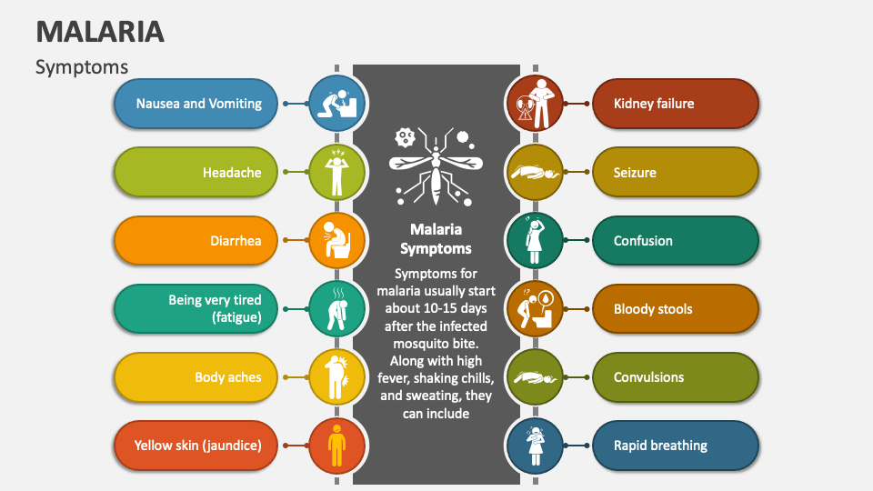 Malaria PowerPoint and Google Slides Template - PPT Slides
