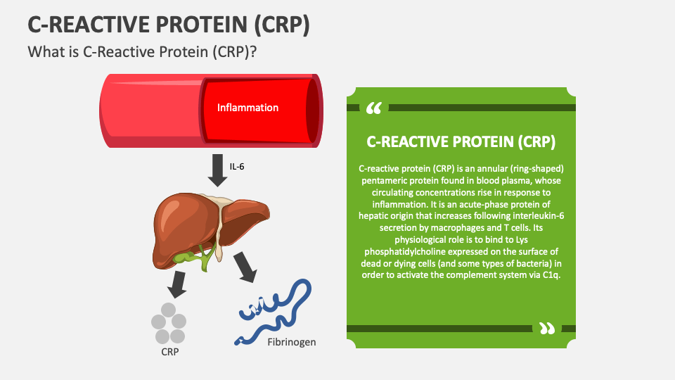 C-Reactive Protein (CRP) PowerPoint and Google Slides Template - PPT Slides C-Reactive Protein (CRP) PowerPoint and Google Slides Template - PPT Slides