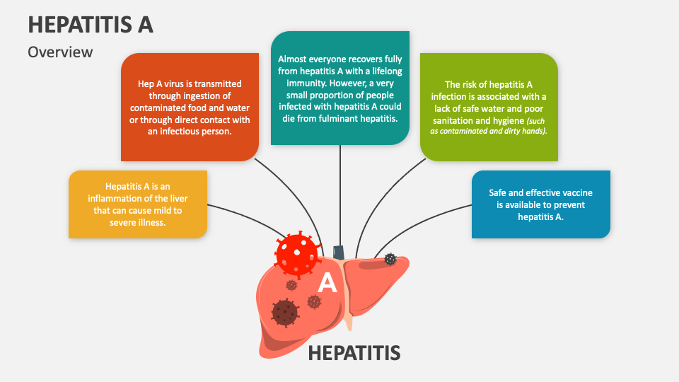 Hepatitis A PowerPoint and Google Slides Template - PPT Slides