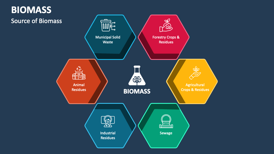 Biomass PowerPoint and Google Slides Template - PPT Slides