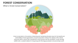 Forest Conservation PowerPoint and Google Slides Template - PPT Slides