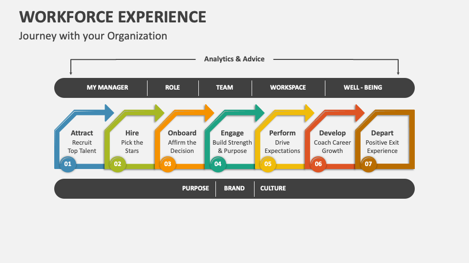 Workforce Experience PowerPoint and Google Slides Template - PPT Slides