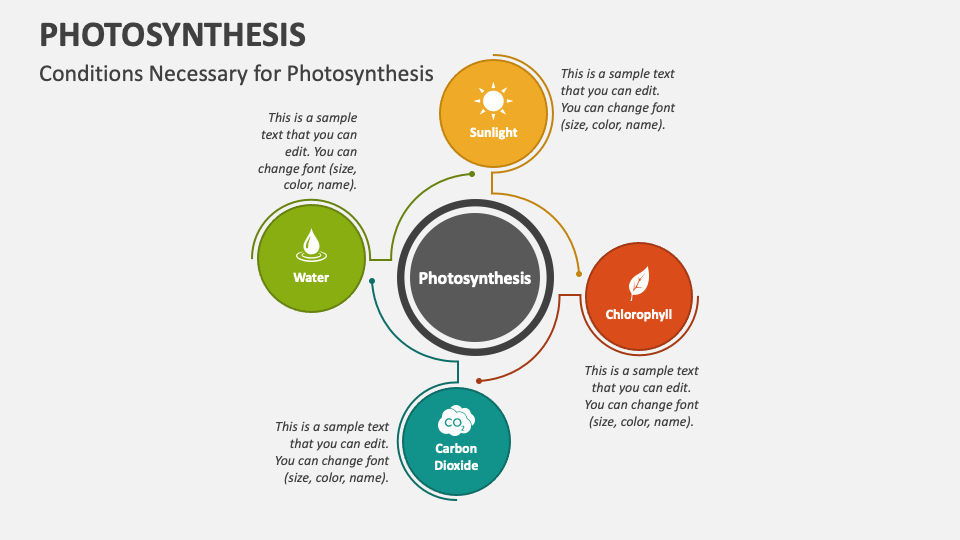 Photosynthesis PowerPoint Presentation Slides - PPT Template