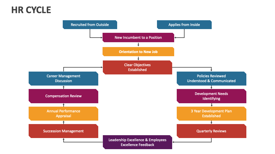 HR Cycle PowerPoint and Google Slides Template - PPT Slides