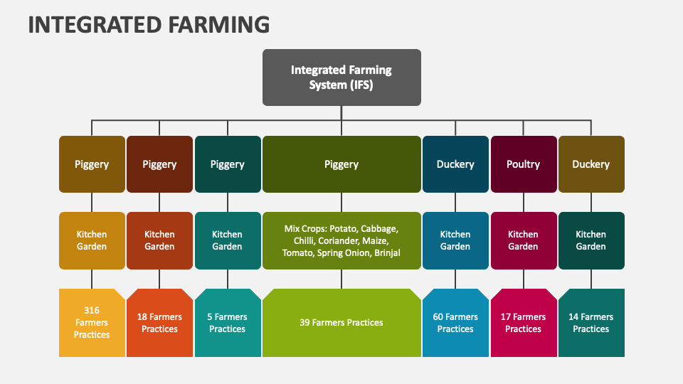 Integrated Farming PowerPoint and Google Slides Template - PPT Slides
