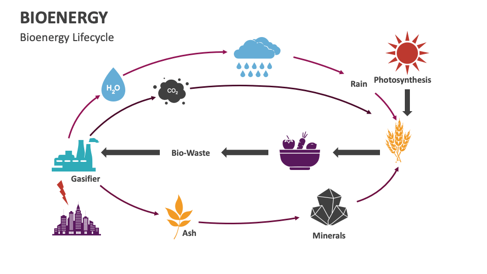 Bioenergy PowerPoint Presentation Slides - PPT Template