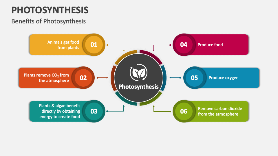 Photosynthesis PowerPoint Presentation Slides - PPT Template