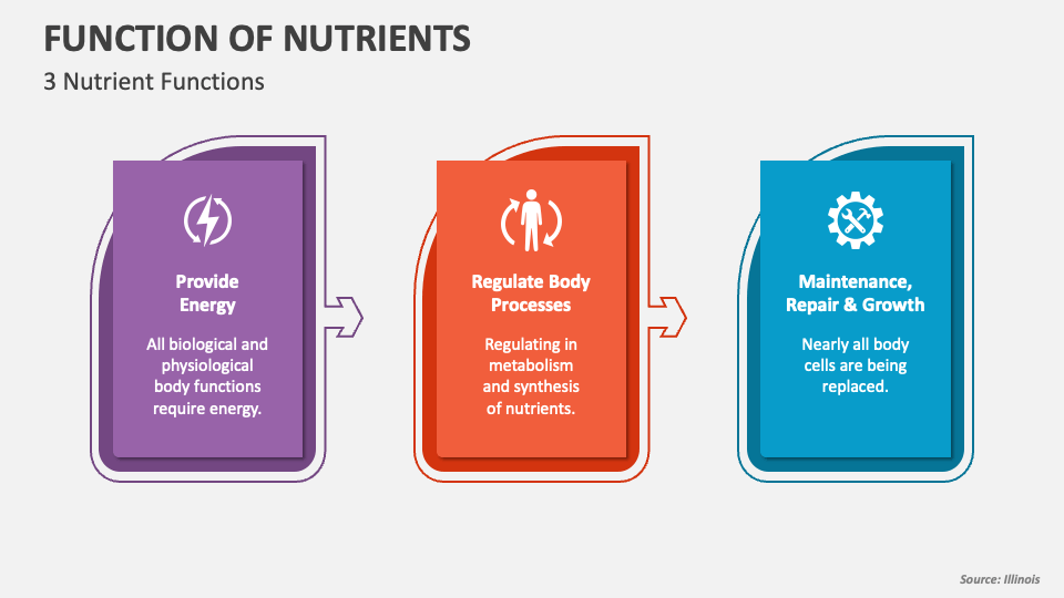 Function of Nutrients PowerPoint Presentation Slides - PPT Template