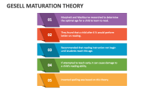 Gesell Maturation Theory PowerPoint Presentation Slides - PPT Template