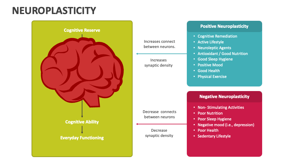 Neuroplasticity PowerPoint Presentation Slides - PPT Template Neuroplasticity PowerPoint Presentation Slides - PPT Template