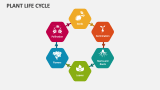 Plant Life Cycle PowerPoint and Google Slides Template - PPT Slides