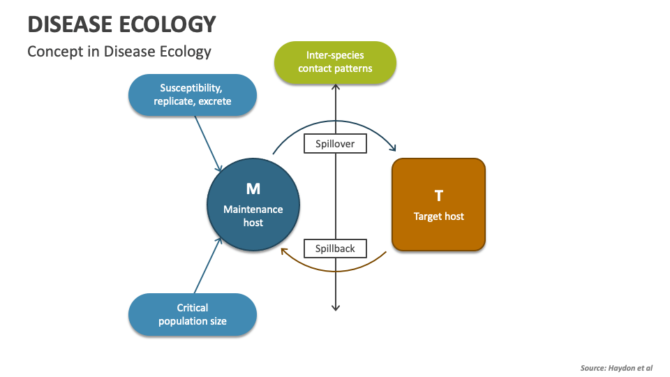 Disease Ecology PowerPoint Presentation Slides - PPT Template
