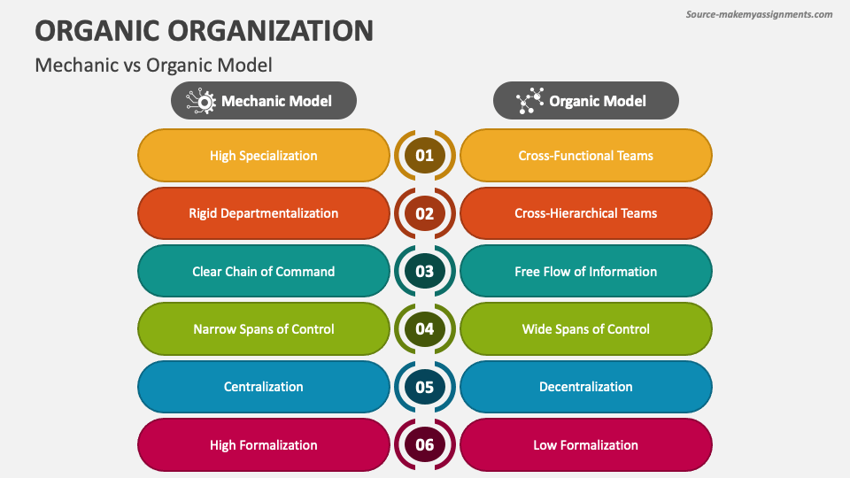 Organic Organization PowerPoint and Google Slides Template - PPT Slides