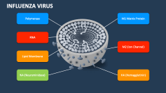 Influenza Virus PowerPoint Presentation Slides - PPT Template