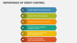 Importance of Credit Control PowerPoint Presentation Slides - PPT Template