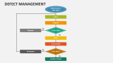 Defect Management PowerPoint Presentation Slides - PPT Template