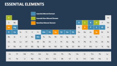 Essential Elements PowerPoint Presentation Slides - PPT Template
