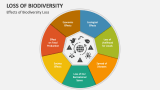 Loss of Biodiversity PowerPoint and Google Slides Template - PPT Slides