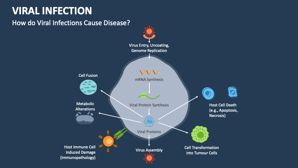 Viral Infection PowerPoint and Google Slides Template - PPT Slides