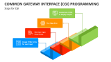 Common Gateway Interface (CGI) Programming PowerPoint and Google Slides Template - PPT Slides
