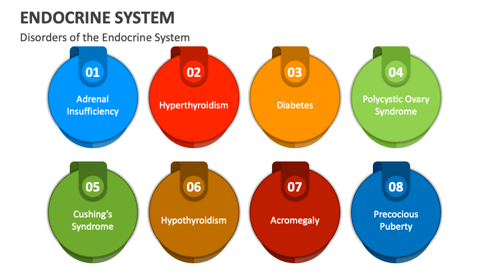 Free Powerpoint Templates Endocrine System Free Printable