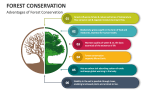 Forest Conservation PowerPoint and Google Slides Template - PPT Slides