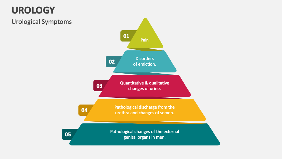 Urology PowerPoint Presentation Slides - PPT Template