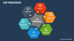 Life Processes PowerPoint and Google Slides Template - PPT Slides