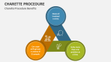 Charette Procedure PowerPoint and Google Slides Template - PPT Slides