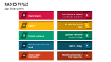 Rabies Virus PowerPoint and Google Slides Template - PPT Slides