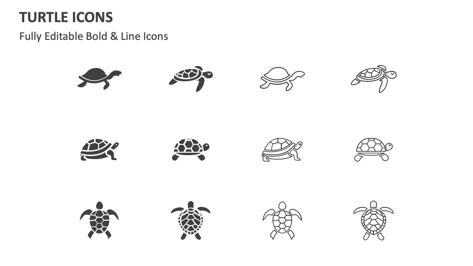 Turtle Icons for PowerPoint and Google Slides - PPT Slides