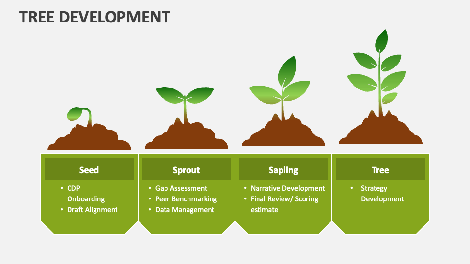 Tree Development PowerPoint Presentation Slides - PPT Template