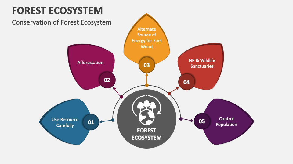Forest Ecosystem PowerPoint Presentation Slides - PPT Template